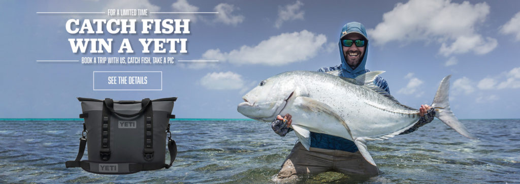 Knee Deep Fly Fishing | Guided Fly Fishing at Top Destinations